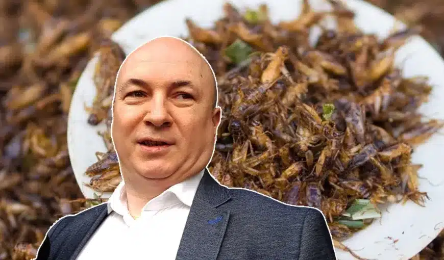 Codrin Ştefănescu, despre impunerea insectelor ca alimente - Jurnalul ...