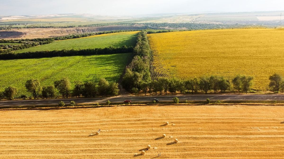 Care sunt soluțiile de finanțare pentru aplicarea diversificării ...
