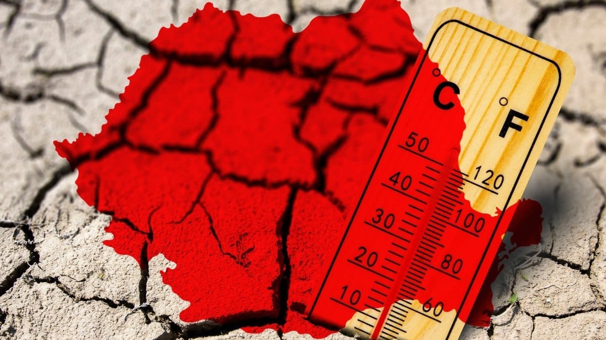 Căldura extremă şi seceta au distrus mii de culturi din România ...