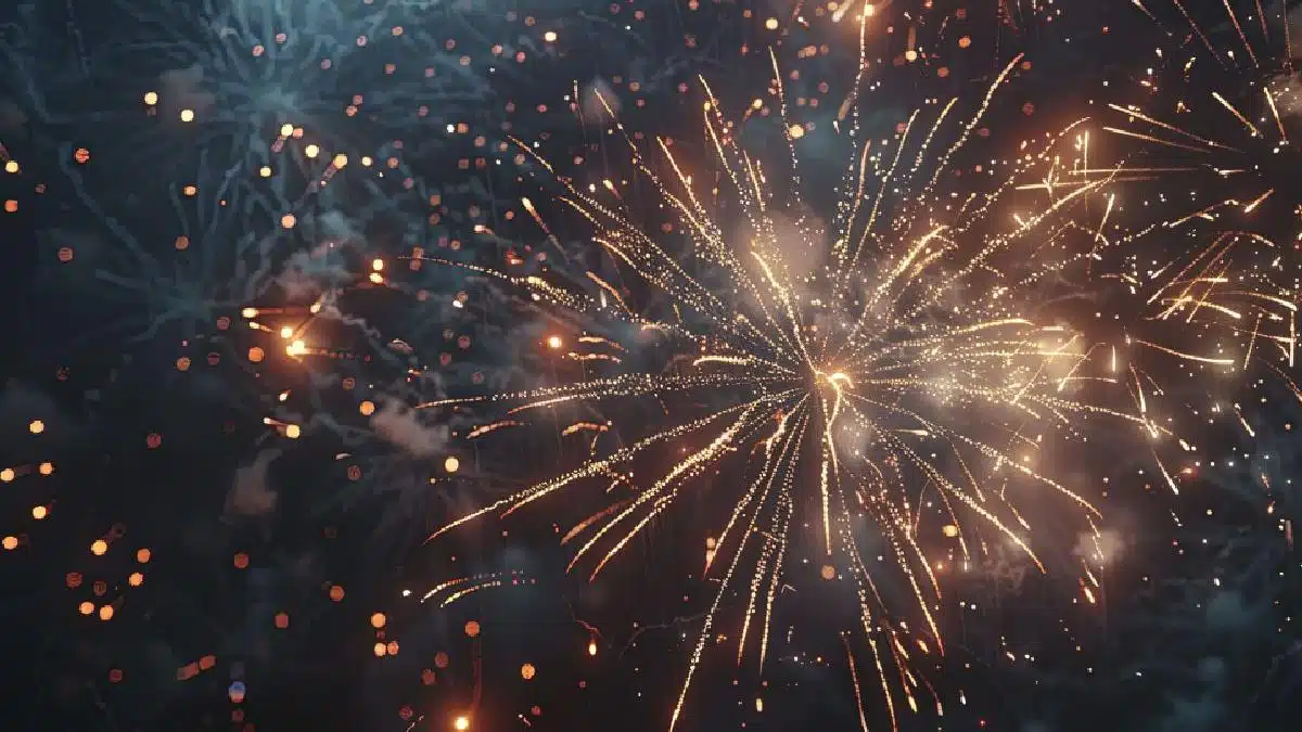 Fireshow și Exploziv-Show oferă articole pirotehnice de top în România ...