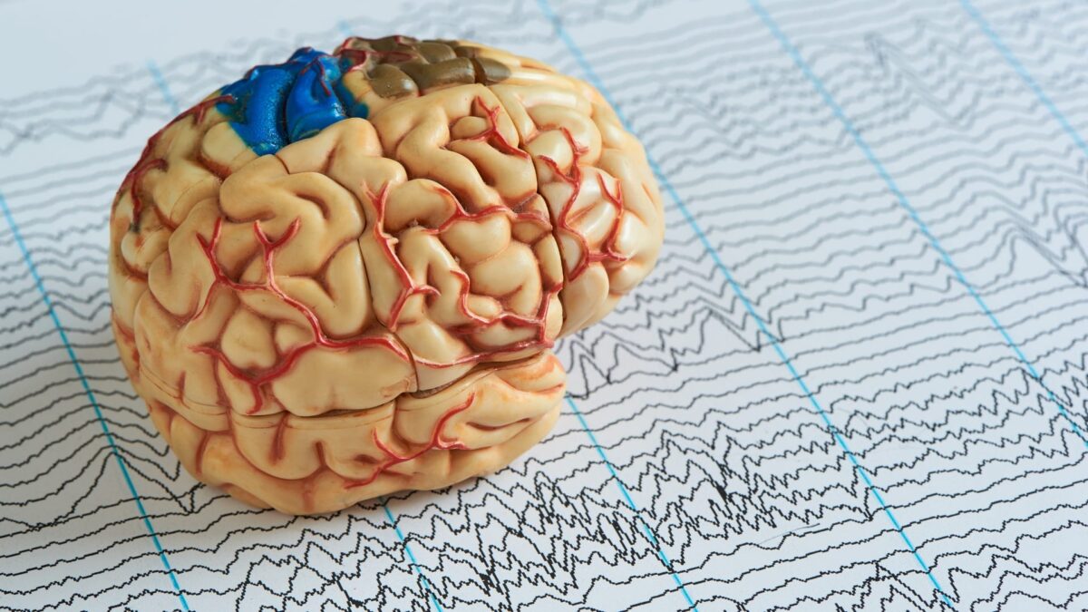 De ce să apelezi la brain mapping? 3 beneficii majore - Jurnalul National