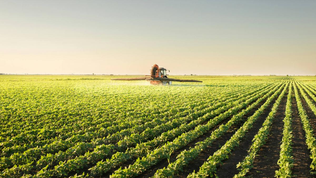BSOG Energy şi Unigrains Trading vor construi o nouă fabrică în România ...